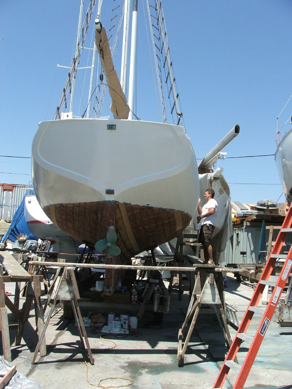 Angelman_ketch_for_sale